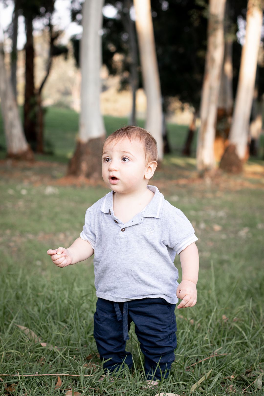 Yehoshua Davis Photography | Simchas | Portraits | Wildlife