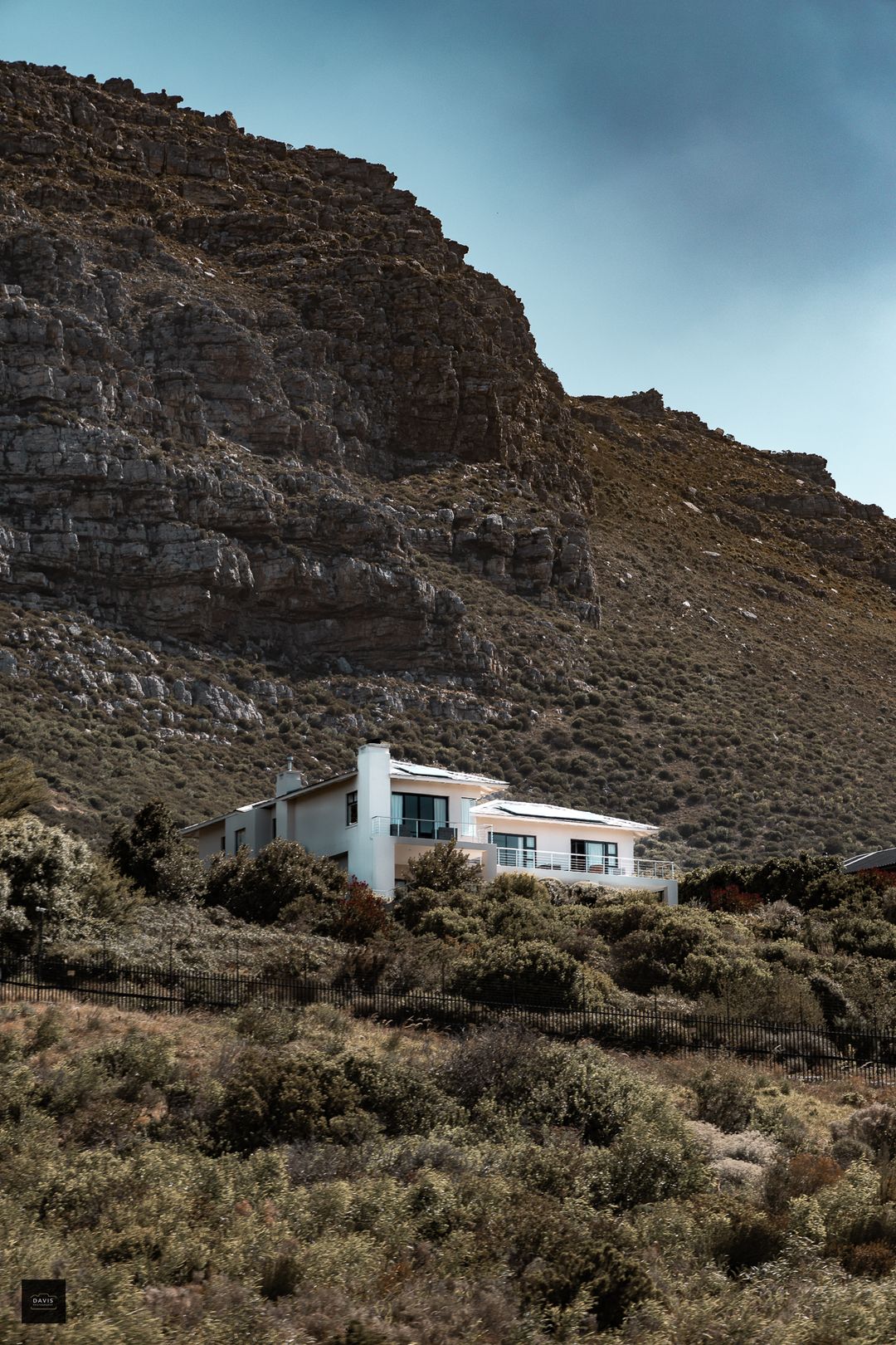 Yehoshua Davis Photography | Simchas | Portraits | Wildlife