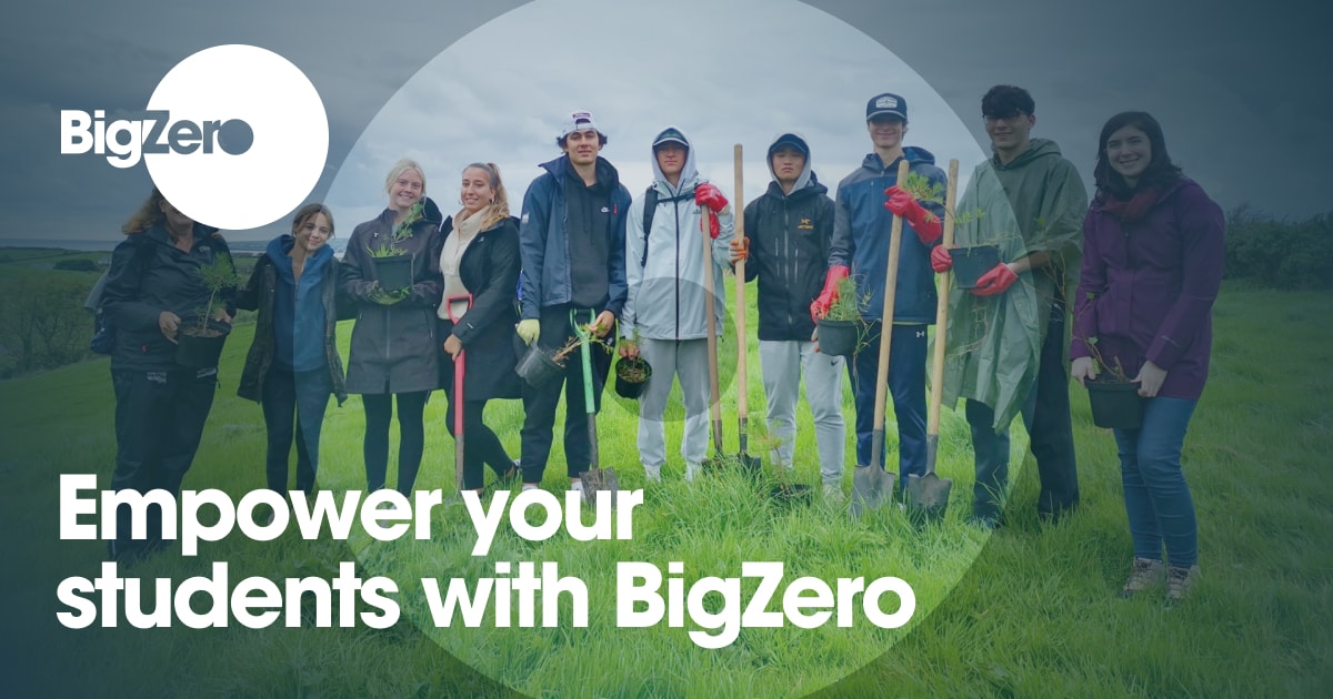 The Big Story – BigZero