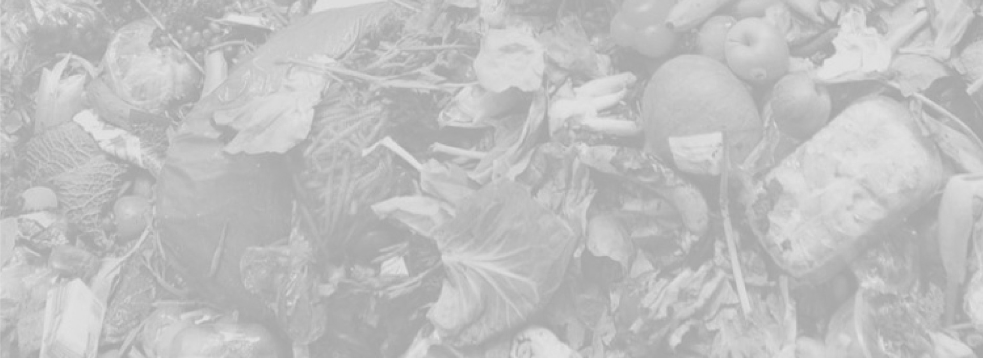 Food Waste Solutions