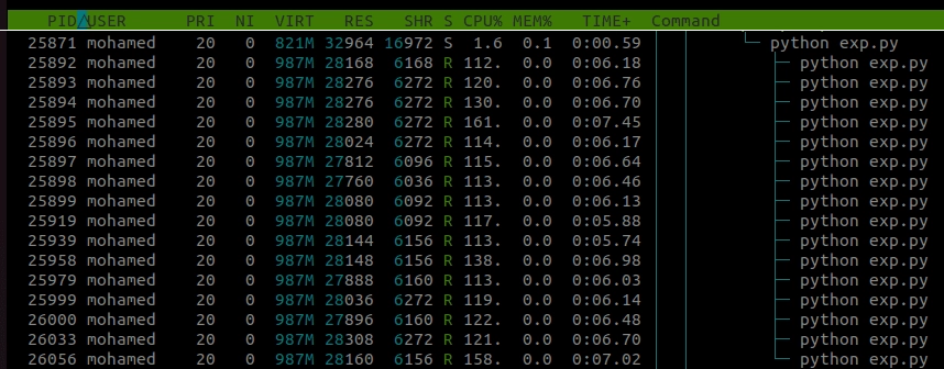 Slow Multiprocessing Queues Python Mindee