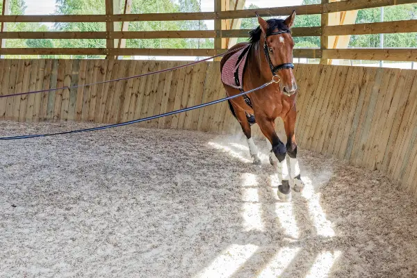 Riding Arena & Sand School Installations - Chart Riding Arenas