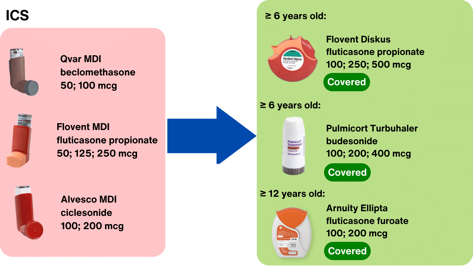 Inhaler Guide — Prince Edward Island