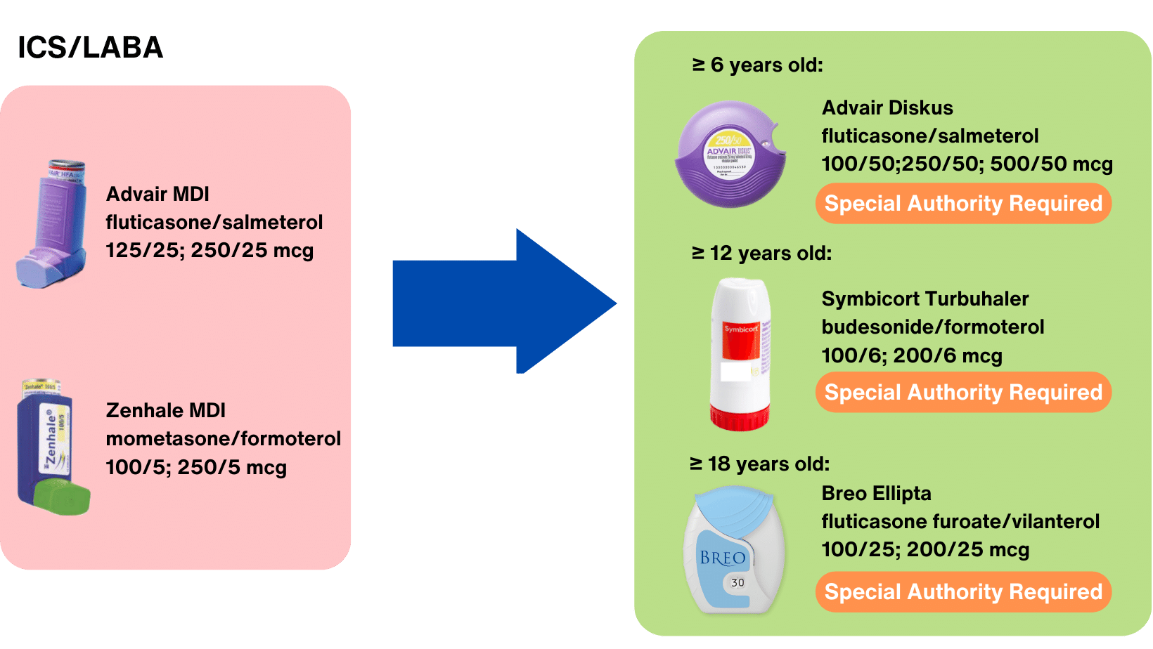 Inhaler Guide — Prince Edward Island