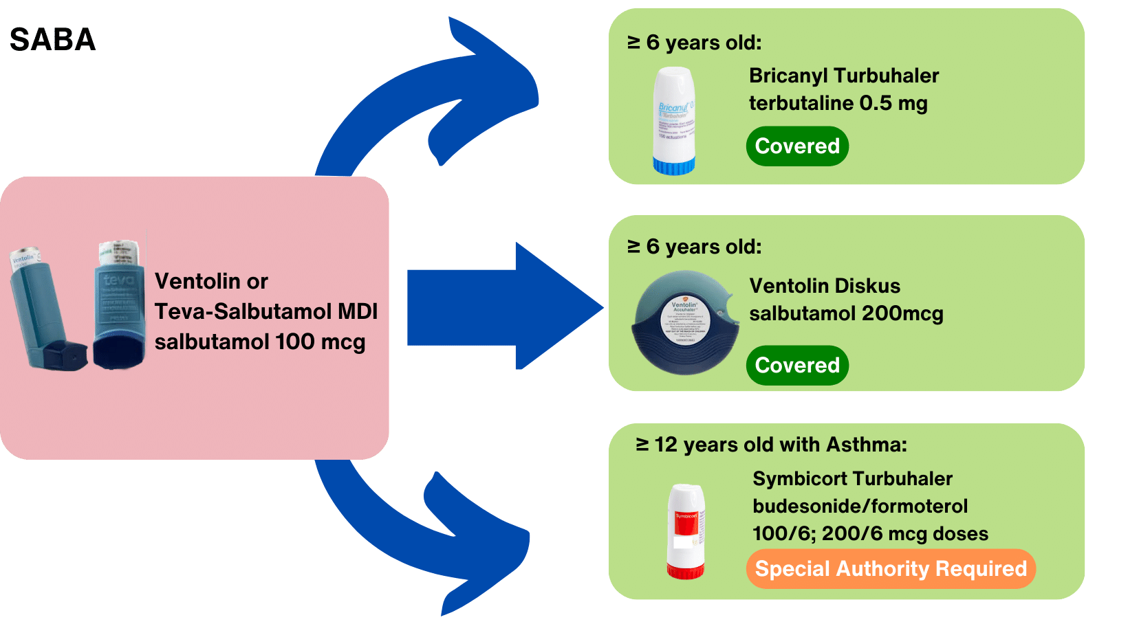 Inhaler Guide — Prince Edward Island