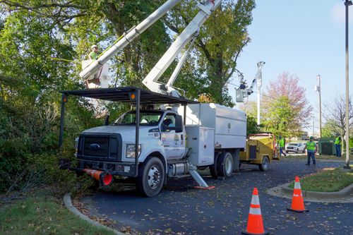 West Tree Service | Professional Right of Way Maintenance & Vegetation ...