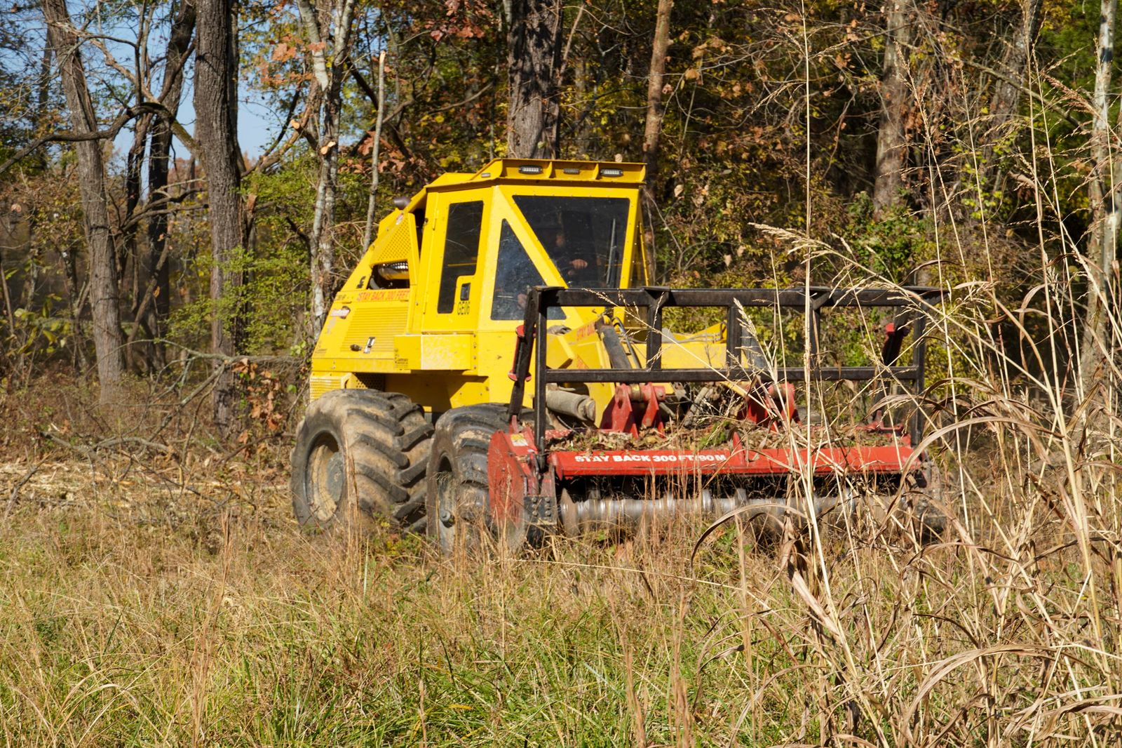 West Tree Service | Professional Tree Care and Emergency Services in ...