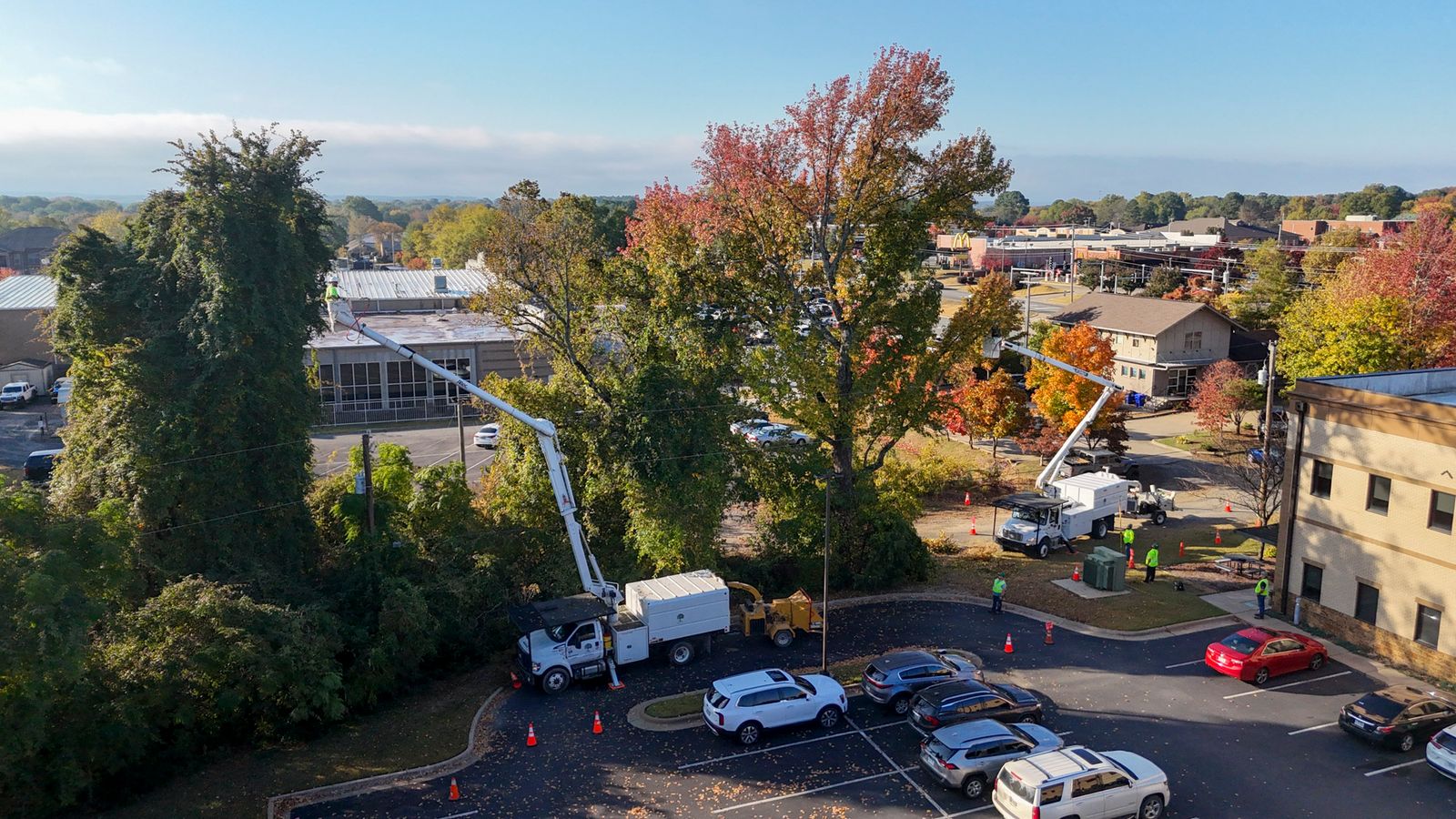 West Tree Service | Professional Tree Care and Emergency Services in ...