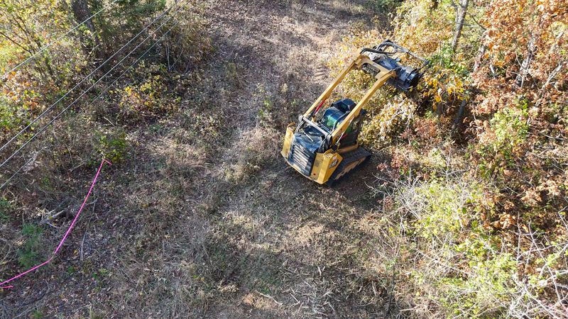 West Tree Service | Professional Tree Care and Emergency Services in ...