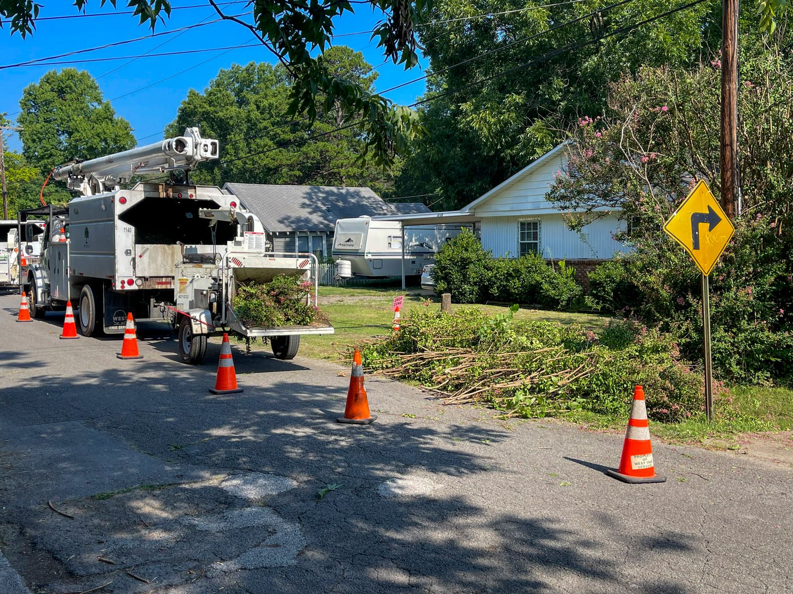 West Tree Service | Professional Tree Care and Emergency Services in ...