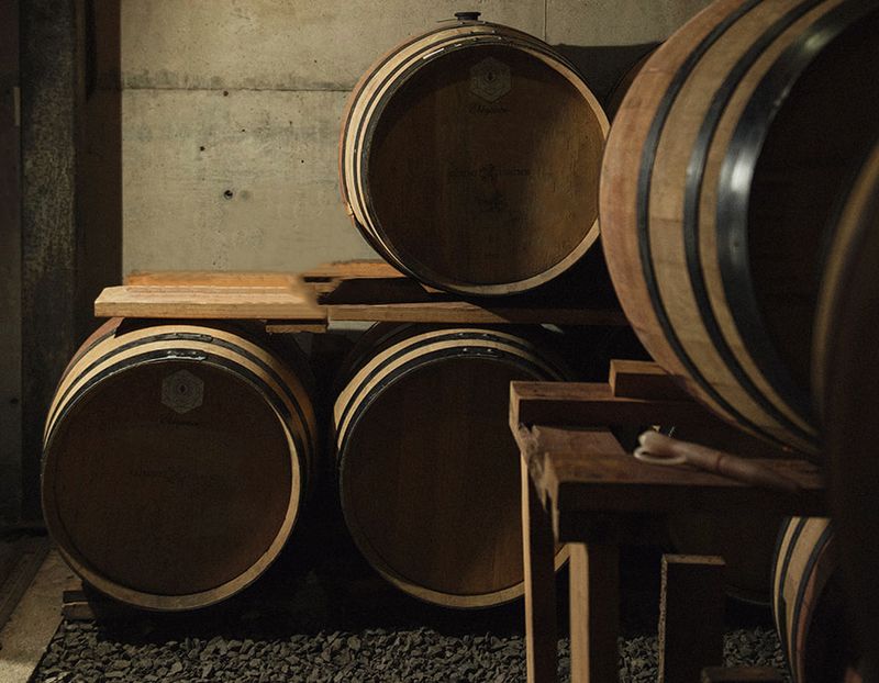 Cuatro Cuatros, Residences, Hotel & Experiences