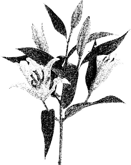 Give your GPT a bigger brain (no code required)