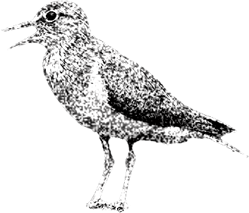 Give your GPT a bigger brain (no code required)