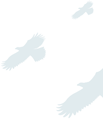 American Teardrop Trailers | Made In USA