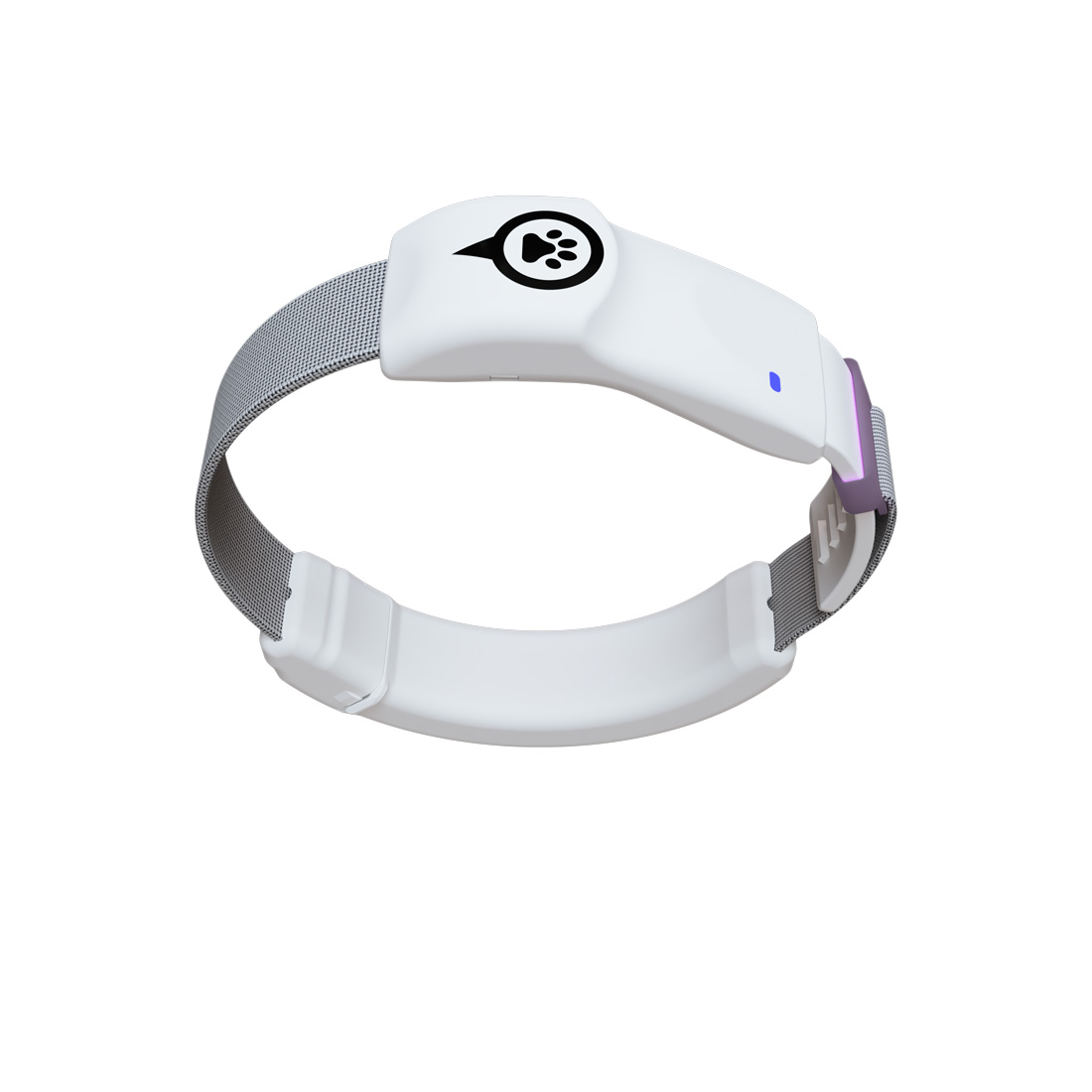 Pawtrack, GPS cat tracker