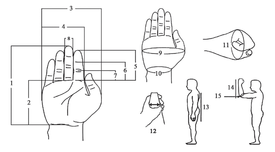 What Are Ergonomics And Why Are They So Important