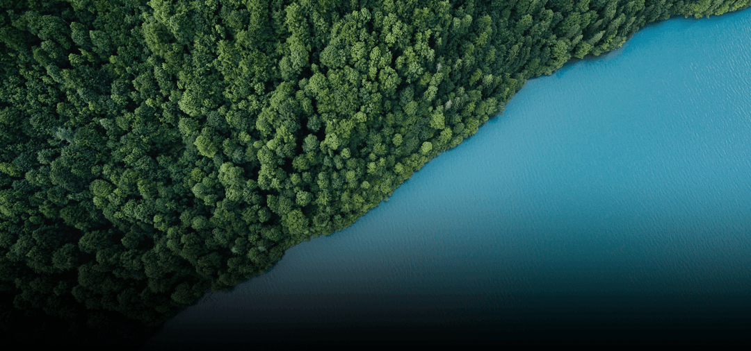 Carbon Mobile | The Future Standard Of Smart Materials - Sustainable ...