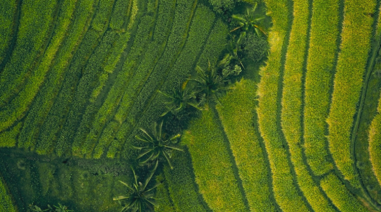 Carbon Mobile | The Future Standard Of Smart Materials - Sustainable ...