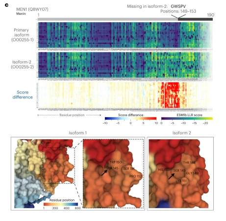 Large Language Models in Biology