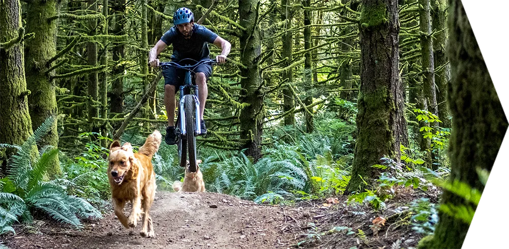 Activities in Anacortes & Lake Erie Campground