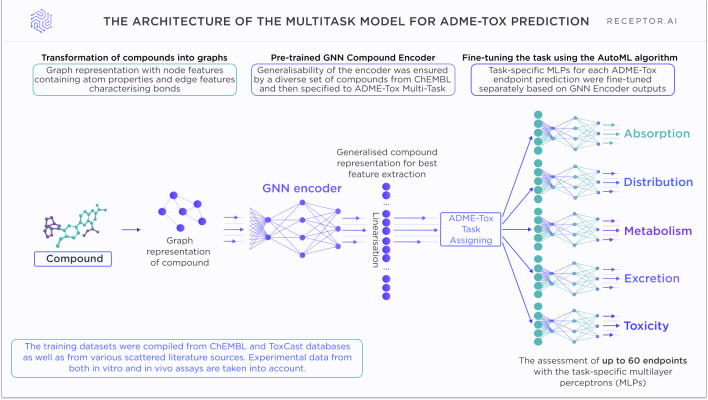 Receptor.AI Unveils Advanced ADME-Tox Prediction Model