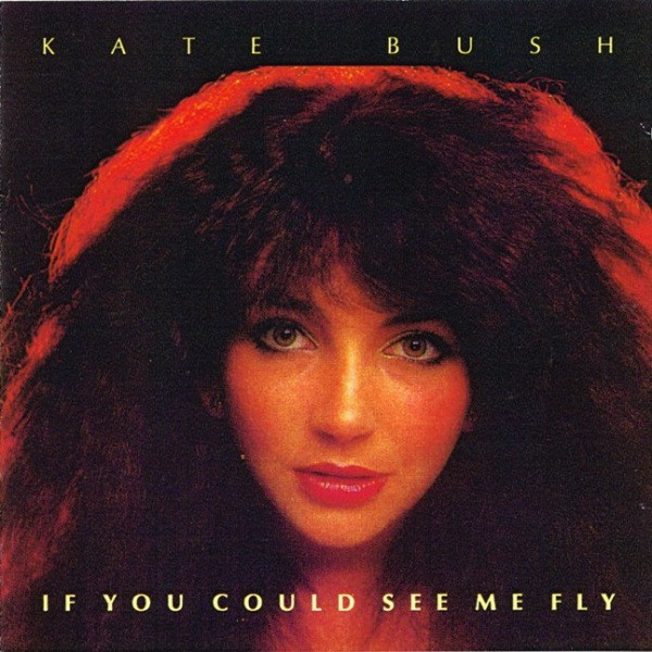 If You Could See Me Fly | Albums & Compilations | Kate Bush Collectibles