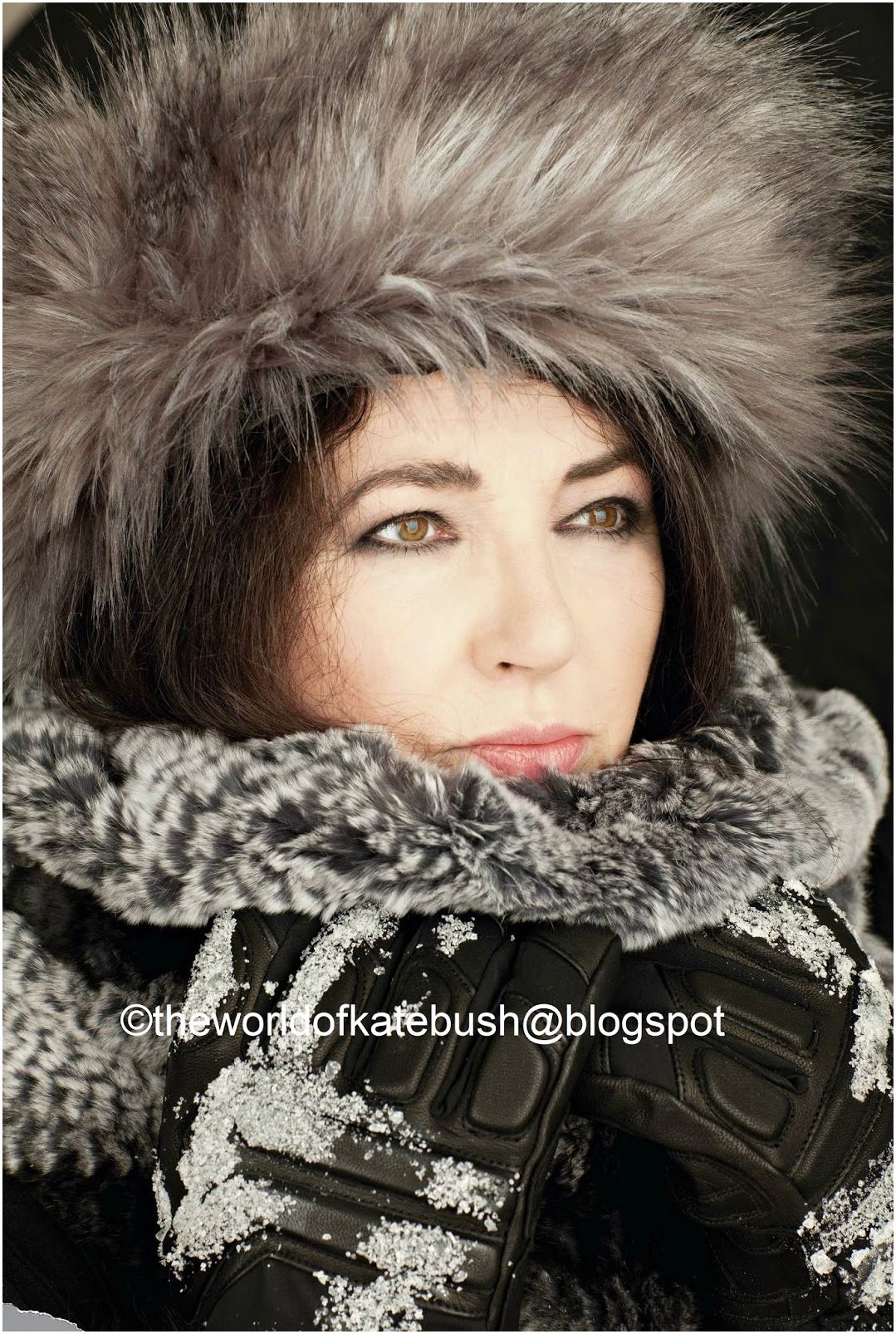 '50 Words For Snow' Photograph | Memorabilia | Kate Bush Collectibles