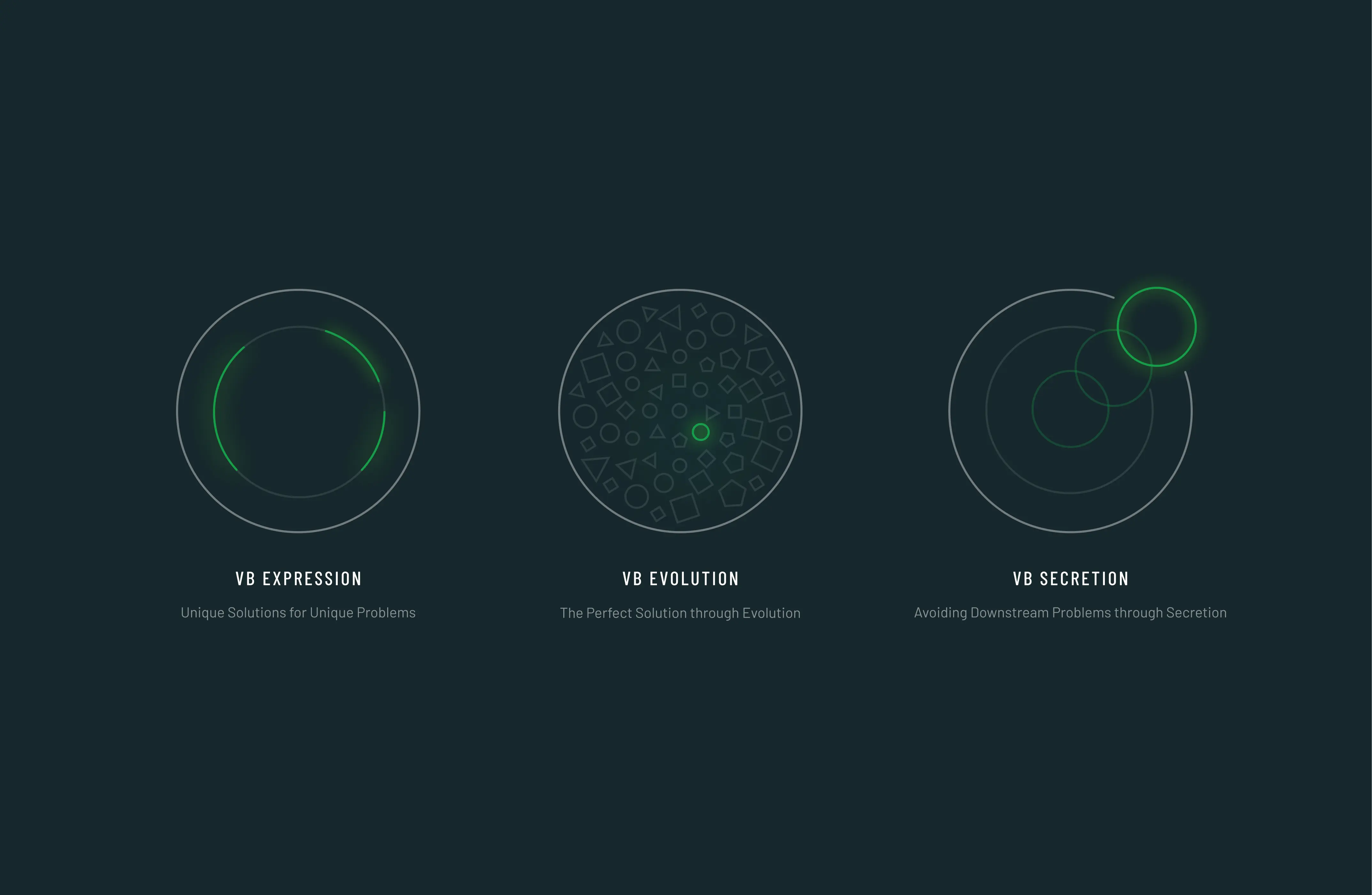 Vectron Biosolutions · Case Study | Konpo Studio