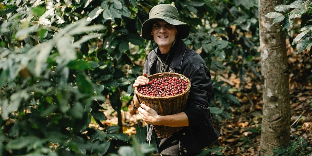 Silver Tree Wellness Center