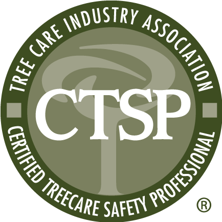 Tree Services Santa Barbara | Tree Maintenance | Branch Out Tree Care