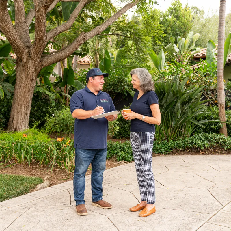 Tree Services Santa Barbara | Tree Maintenance | Branch Out Tree Care