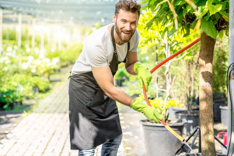 How can trees impact your property's value and curb appeal