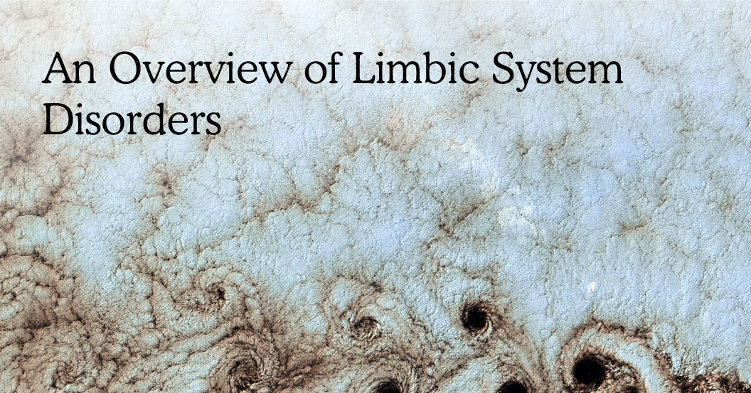 What are Limbic System Retraining Exercises?