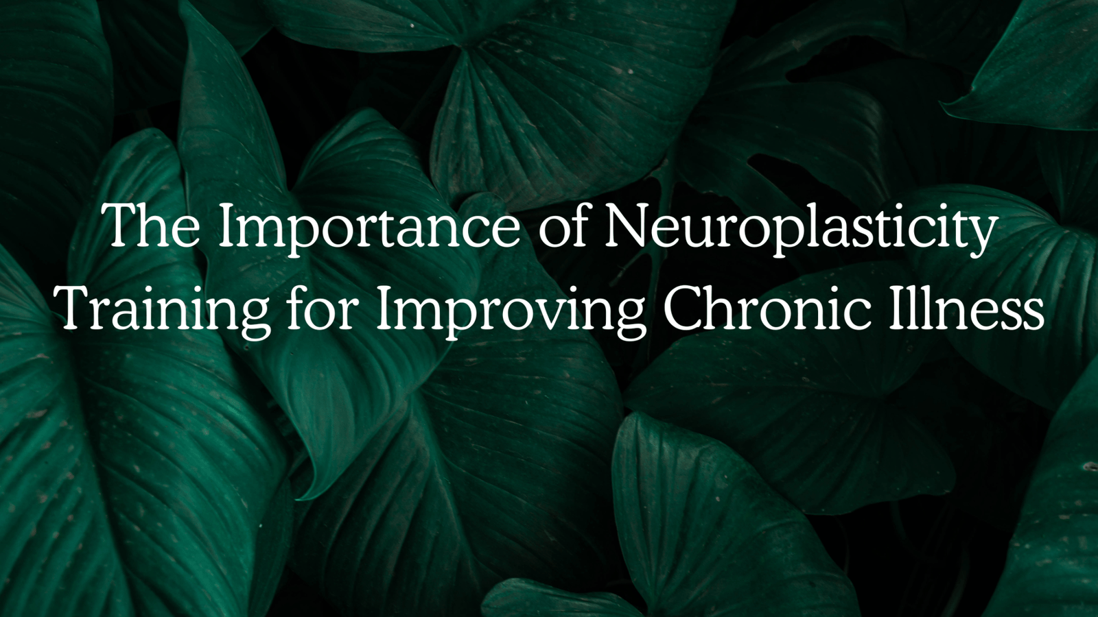 Top 10 Neruroplasticity Books to Read for Brain Retraining