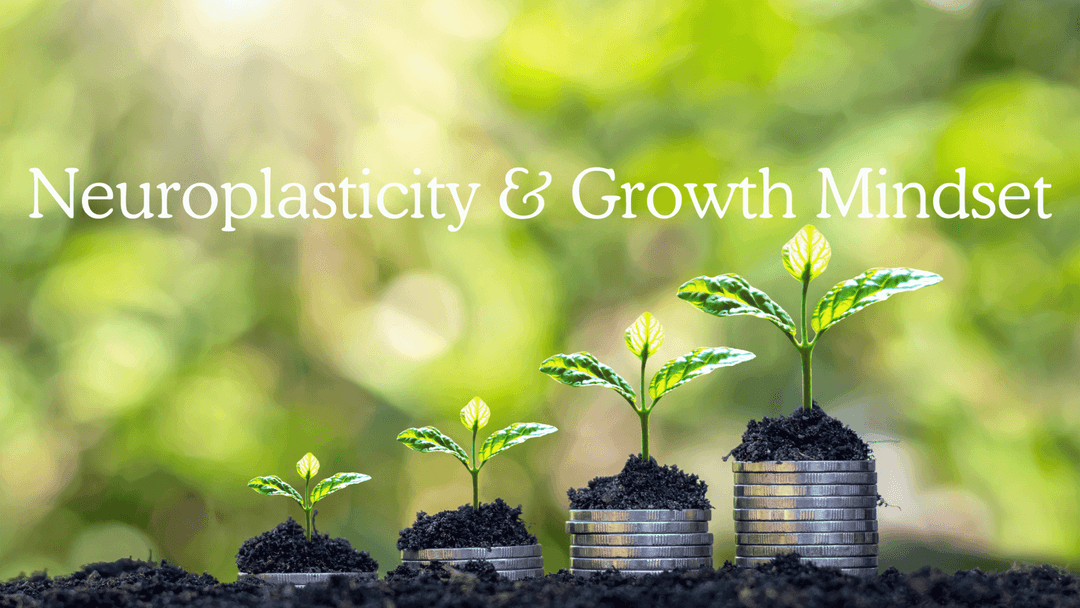 Top 10 Neuroplasticity Books to Read for Brain Retraining