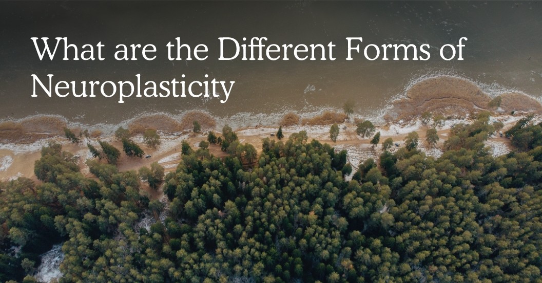 3 Benefits of Neuroplasticity for Children with Autism