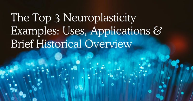 Top 10 Neruroplasticity Books to Read for Brain Retraining