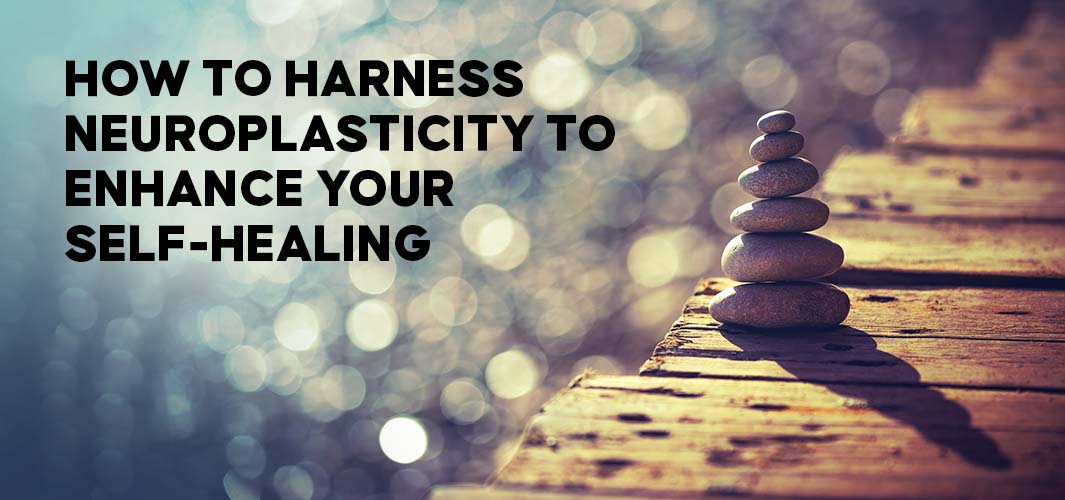 Neuroplasticity Books: Brain Rewiring Books to Read in 2024