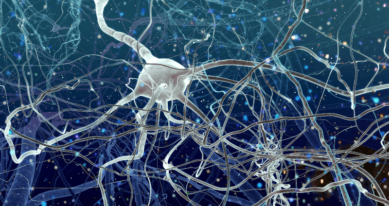 What is Brain Rewiring & How Does It Work?