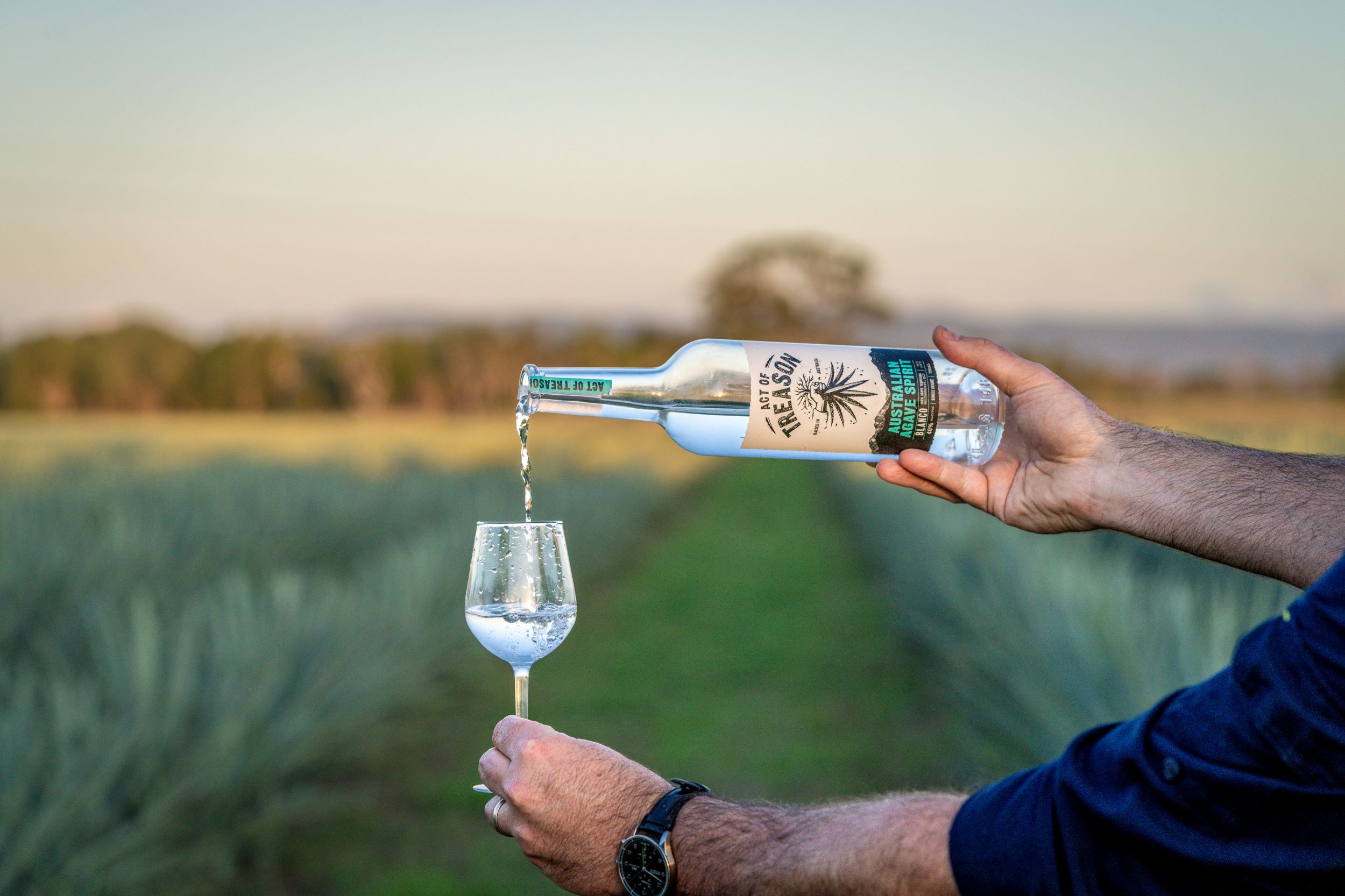 AUSTRALIA'S NEWEST SPIRIT BRAND IS HERE | Act of Treason