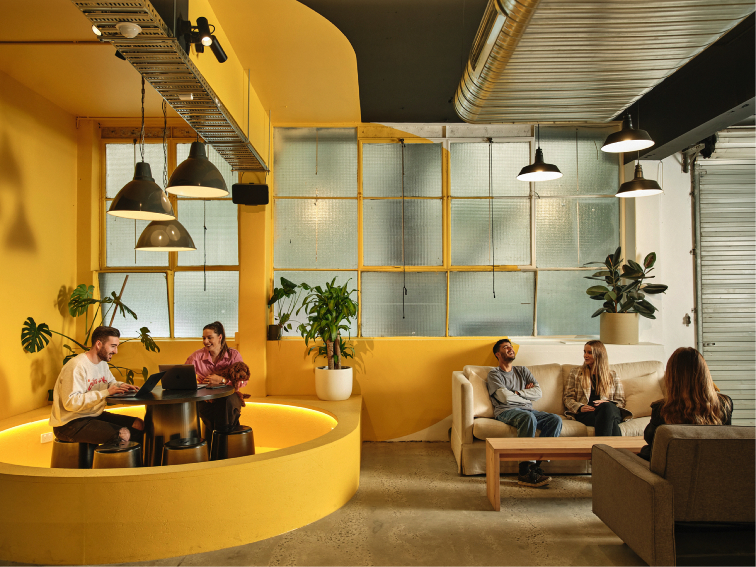 Picos Media | Meta Ads