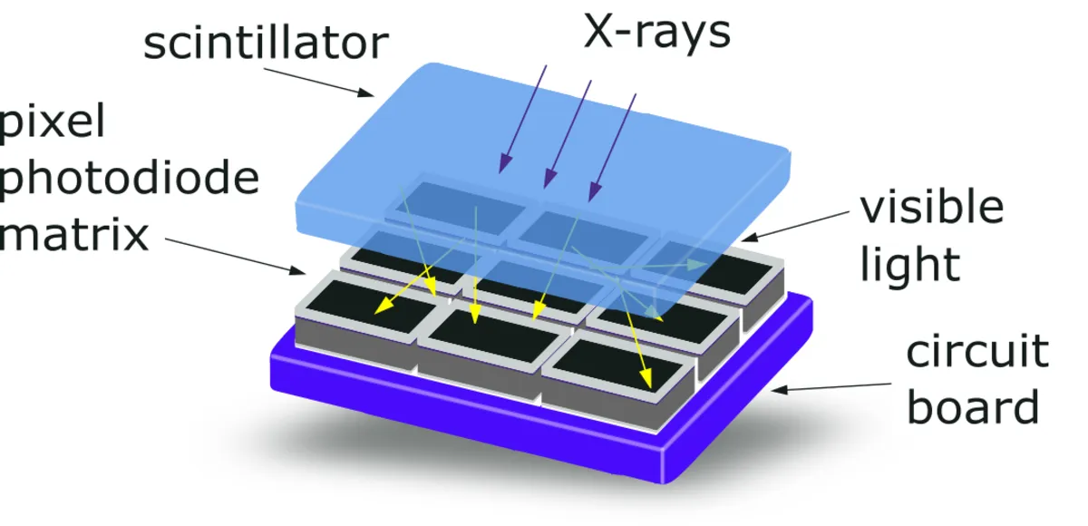 Advanced X-Ray Imaging: Enhanced Detection with Reduced Radiation