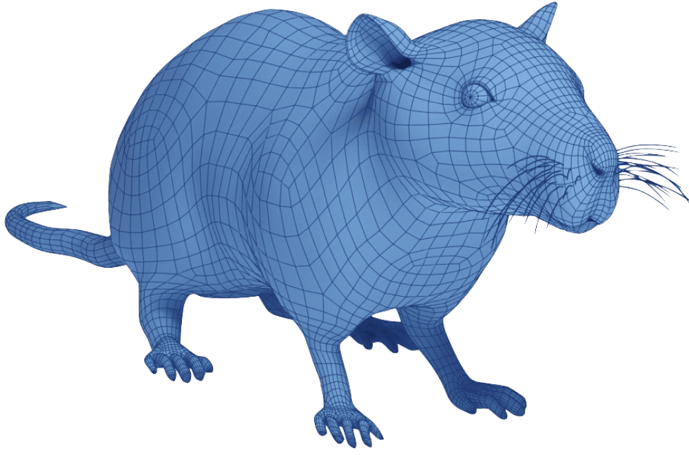 Customized rat models | Focus on physiological relevance | genOway