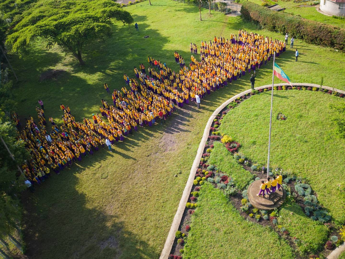 Project Mercy - Home