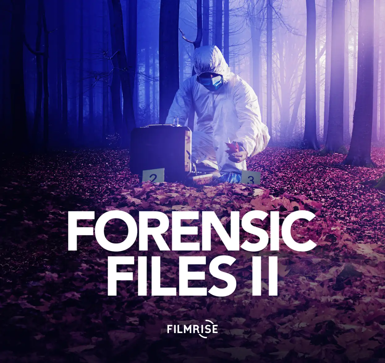 Case studies | Deepdub