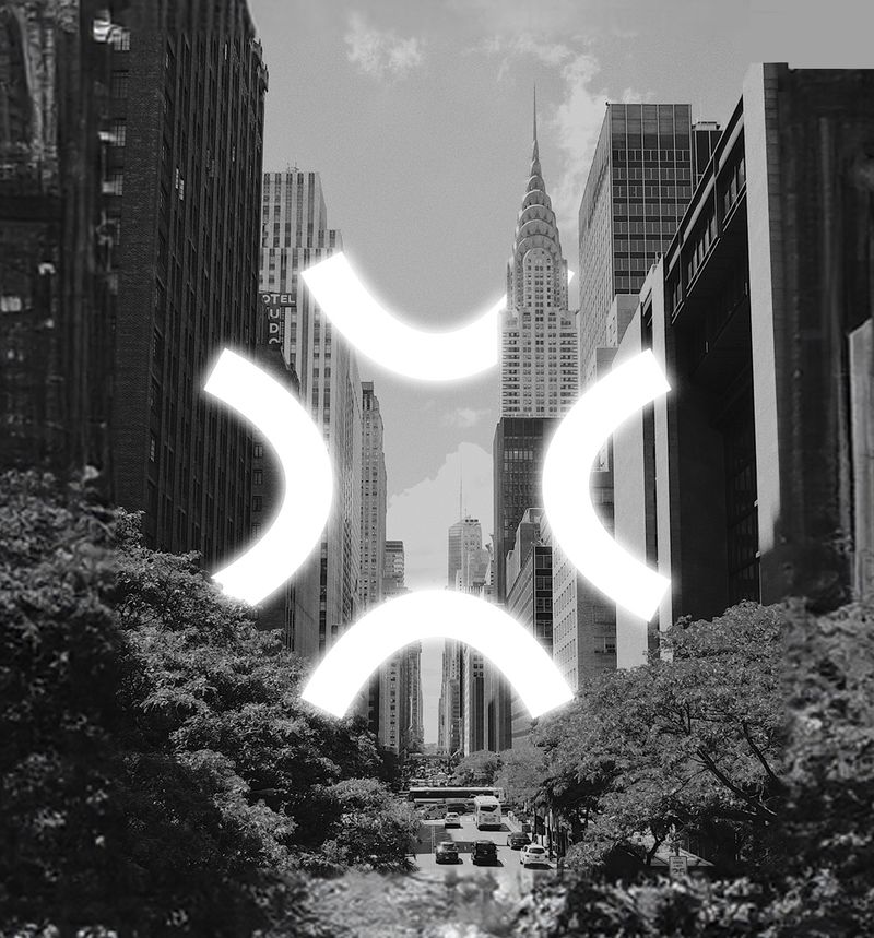 Baka.NYC - Smart is the New Stupid