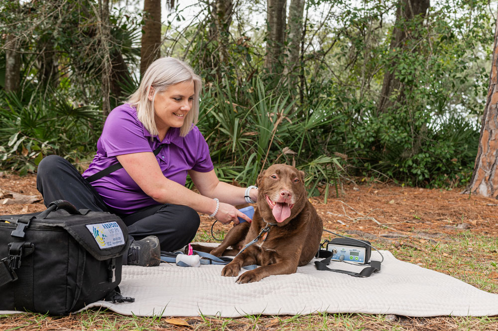 TPLO and Post-Op CCL Tear Recovery
