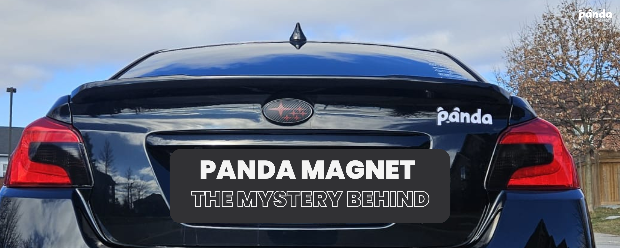 Our Panda Car Magnets - What Are They? | Panda Hub Car Care