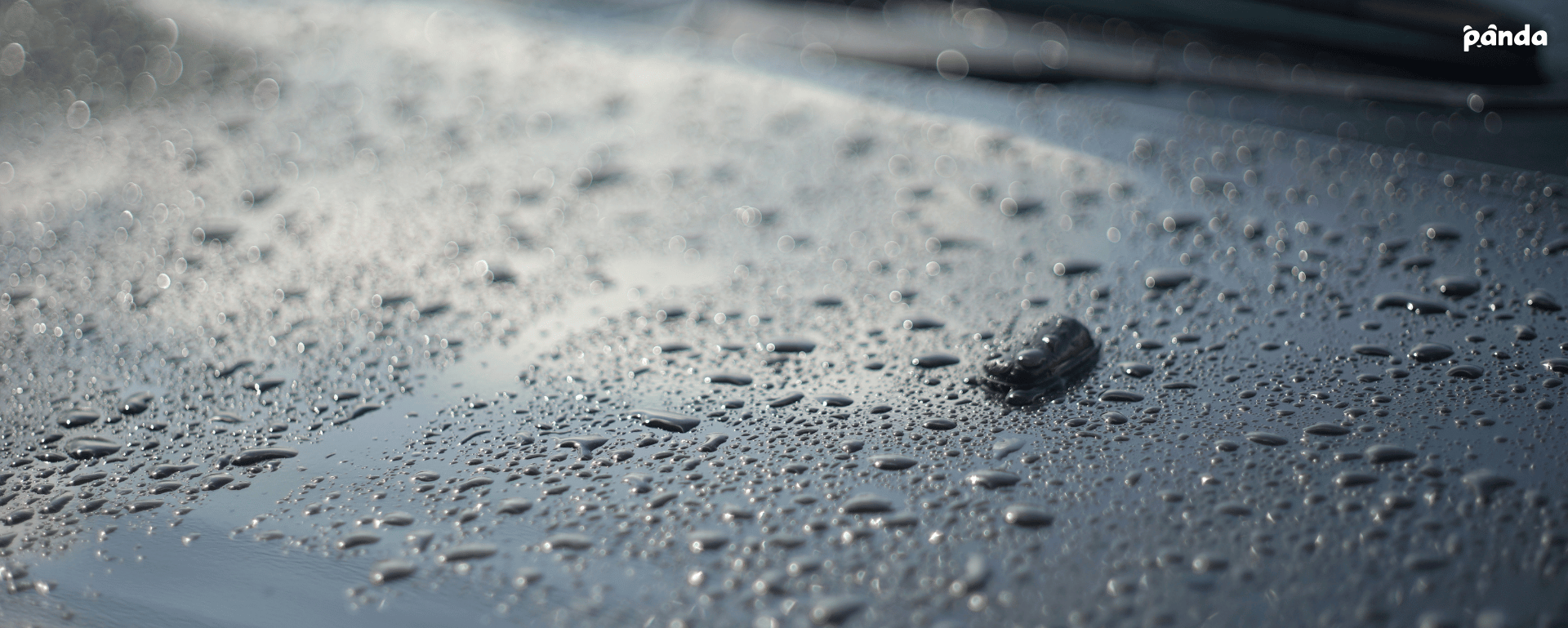 5 best ways to remove Water Spots from Cars in 2024 | Panda Hub Car Care