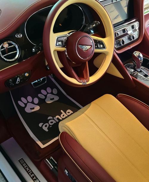 Panda Hub - Premium Car Detailing Packages